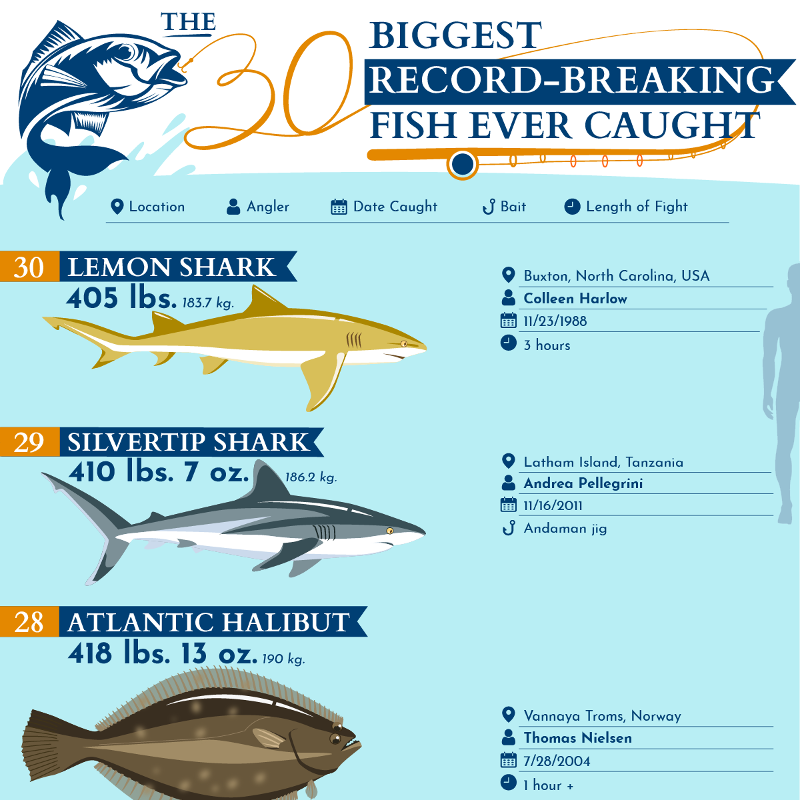 What's the biggest fish you can catch?