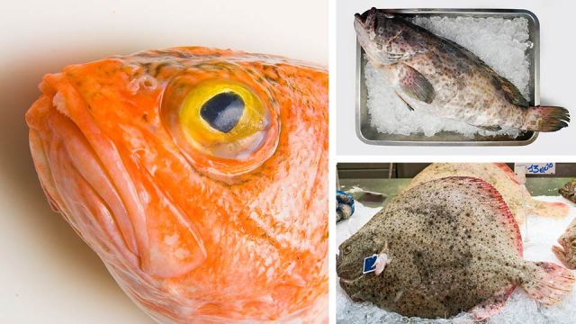 What's the cheapest fish to eat?