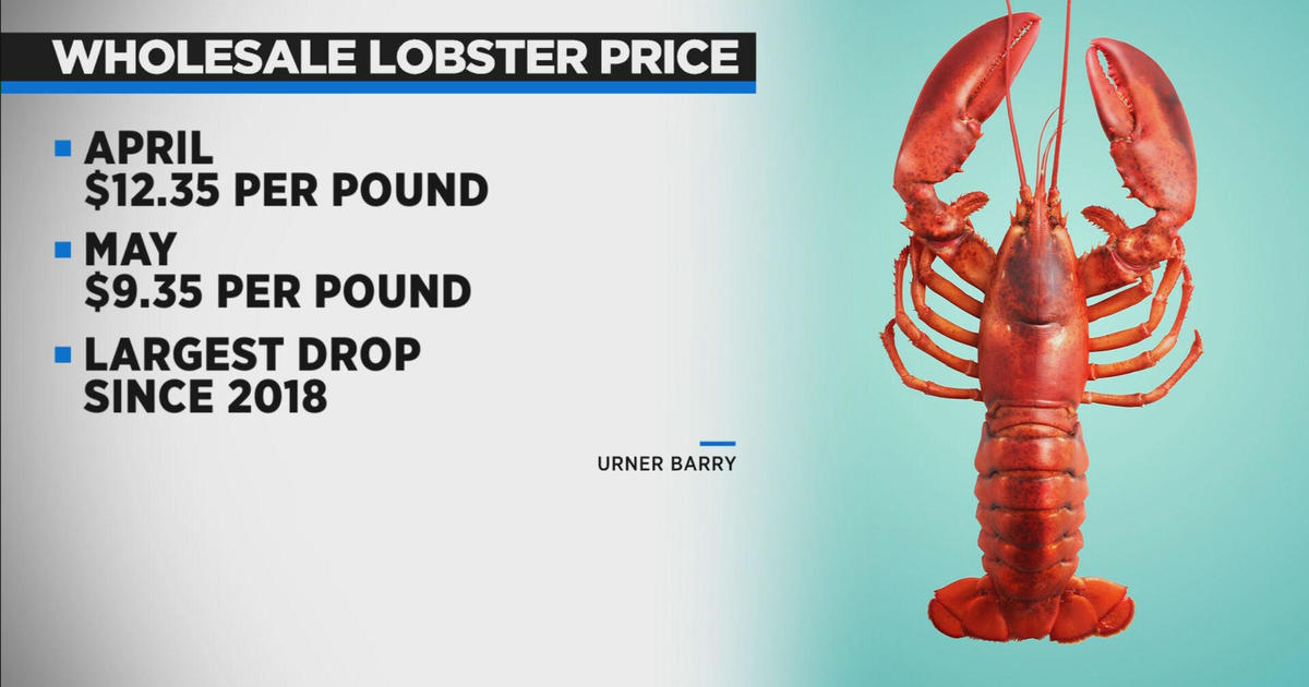 What's the current price of lobster in Maine?