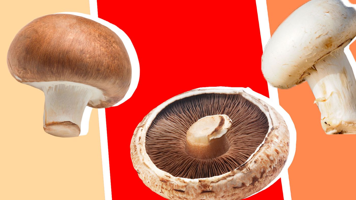 What's the difference between brown mushrooms and white mushrooms?