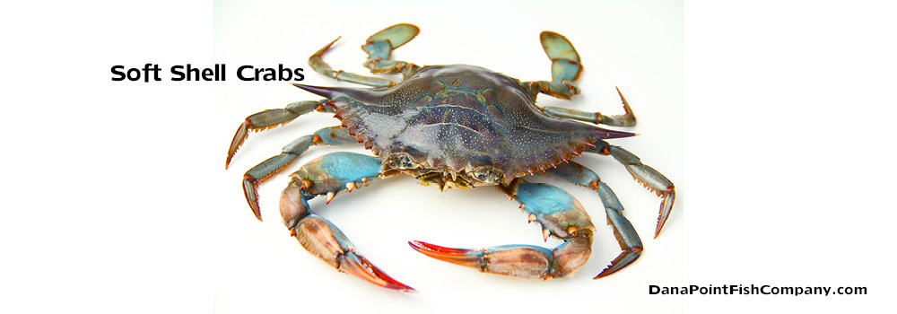 What's the difference between crab and soft shell crab?