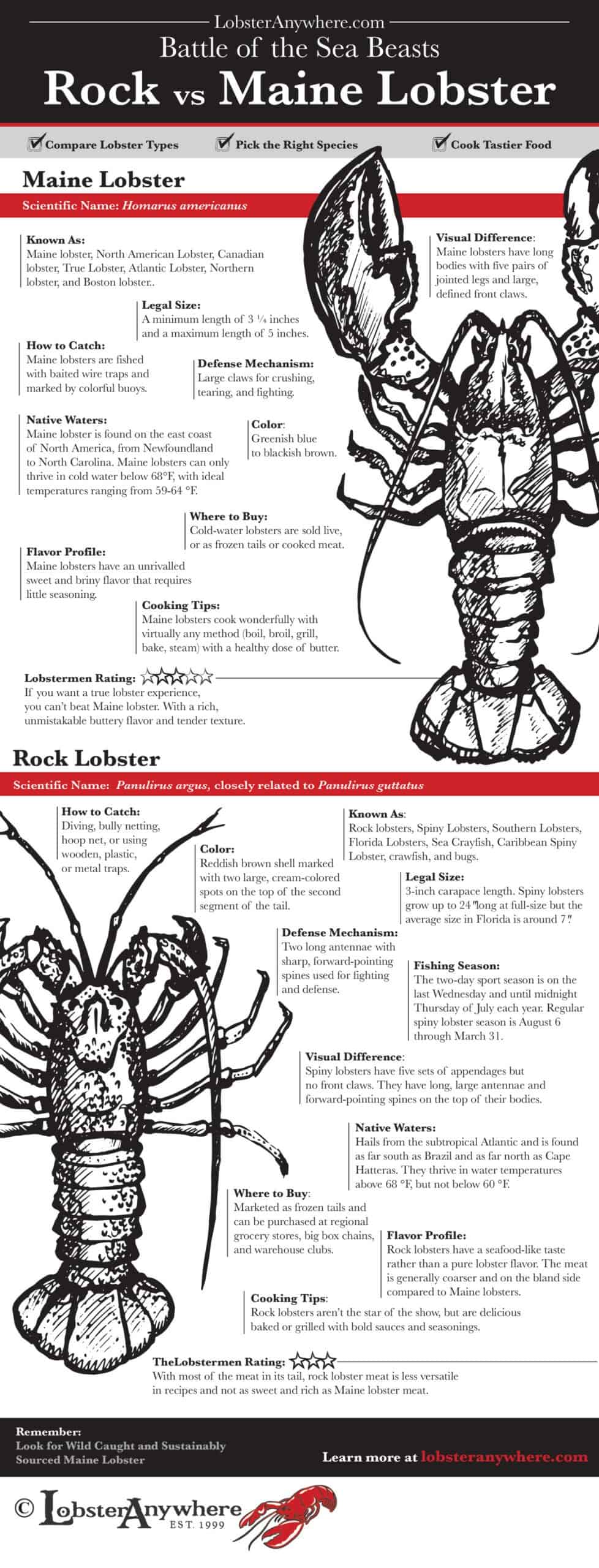What's the difference between Maine lobster and rock lobster?