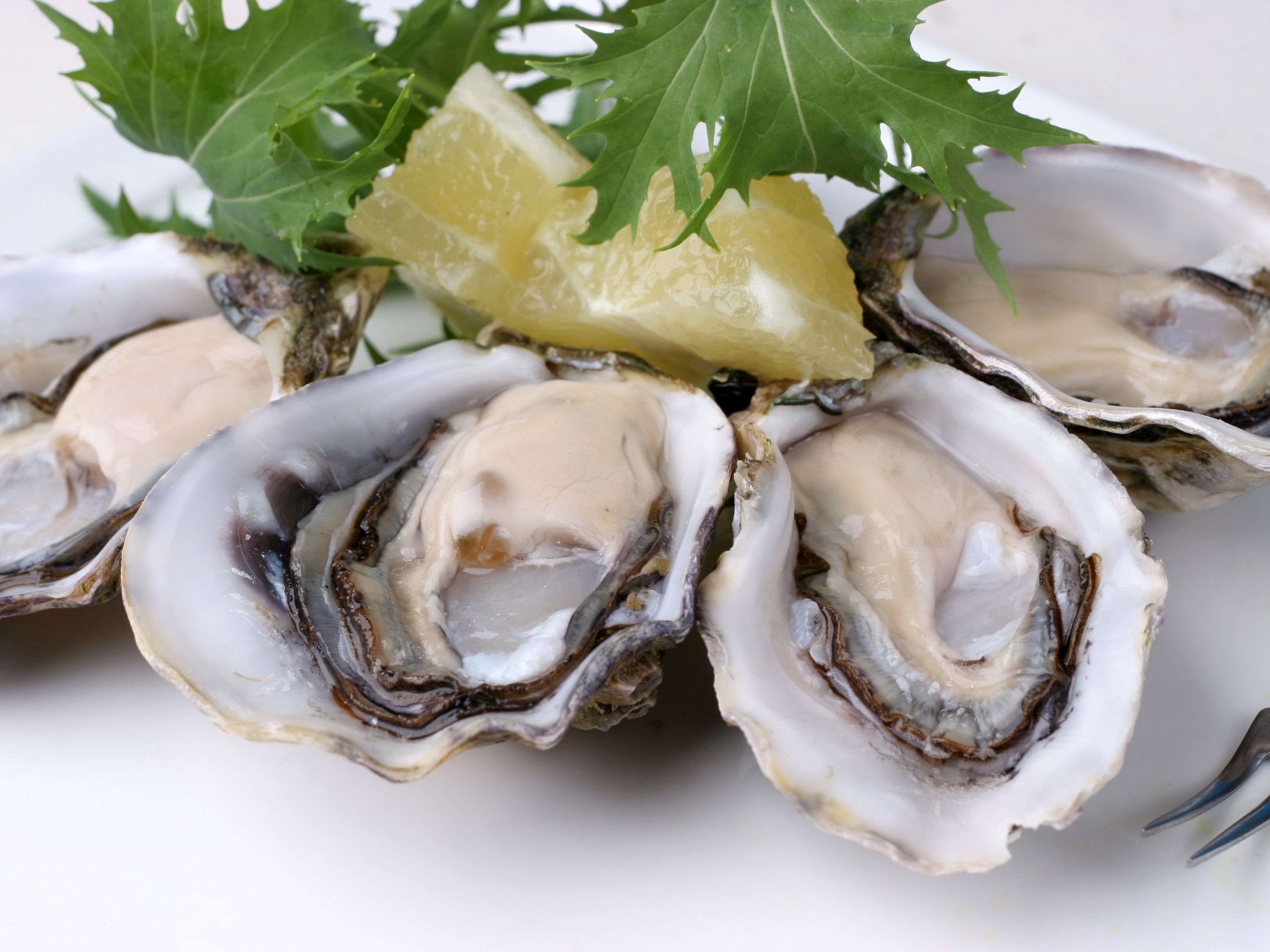 What's the difference between Select and Standard oysters?