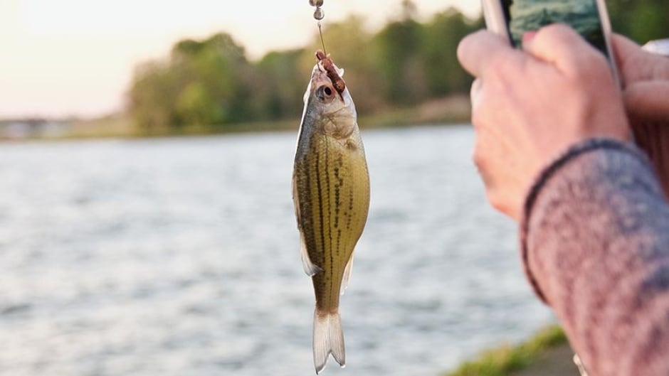 What's the fine for not having a fishing license in Ontario?