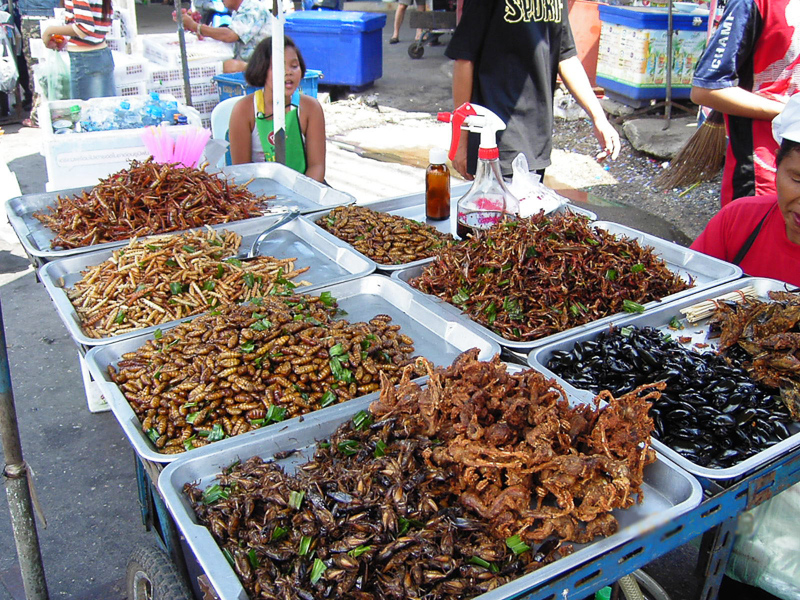 What's the meaning of Entomophagy?