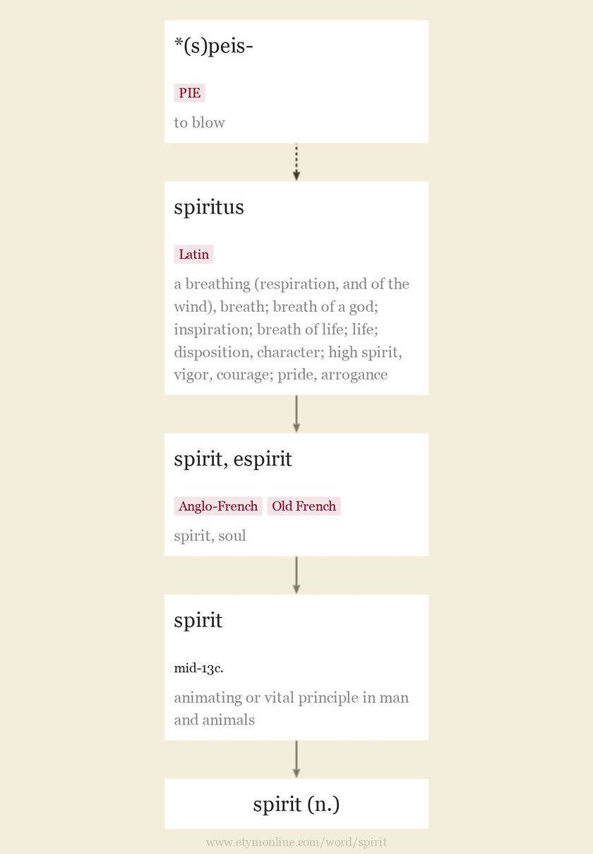 What's the origin of the word spirit?