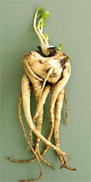 What's the ugliest vegetable?