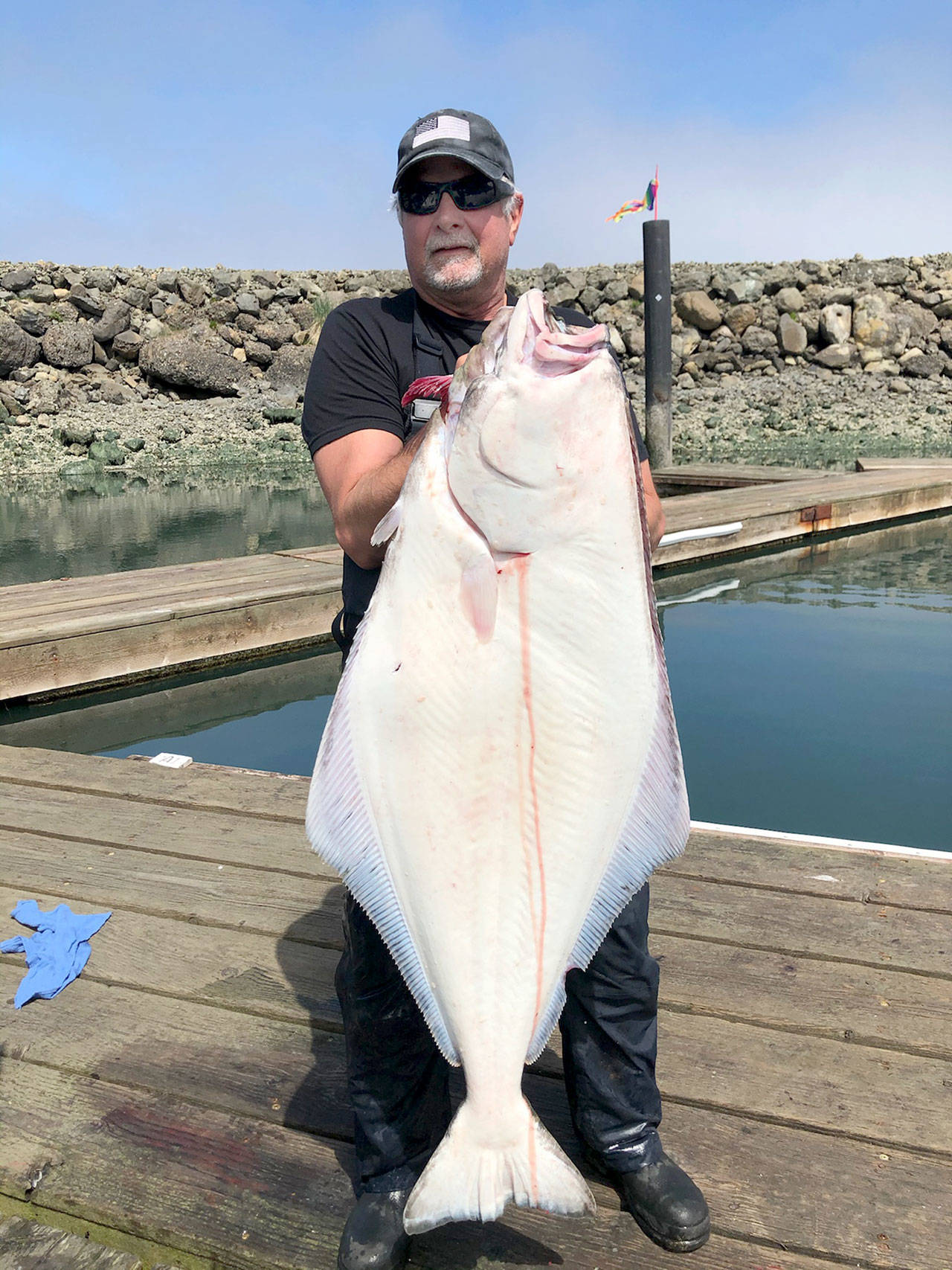 When can I fish the halibut quota?
