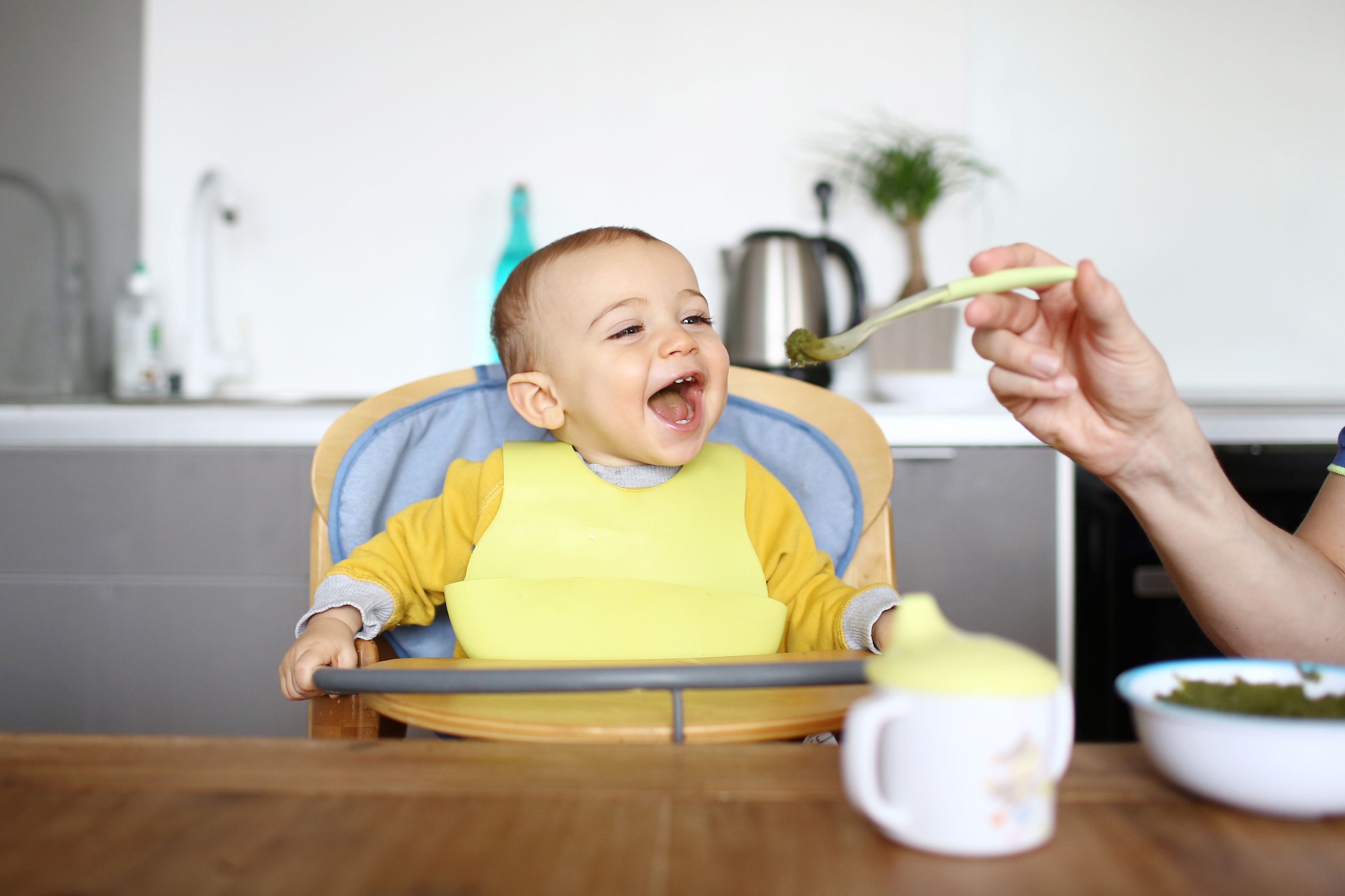 When can toddlers eat fish?