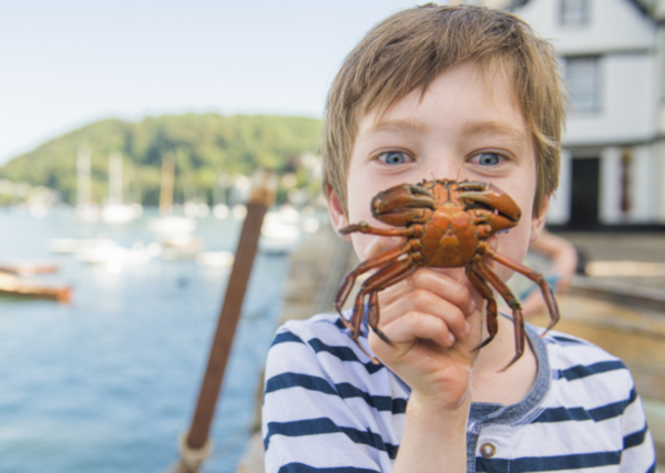 When can you go crabbing in UK?