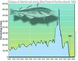 When did cod fishing peak?