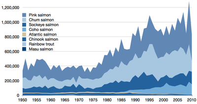 When did salmon become popular?