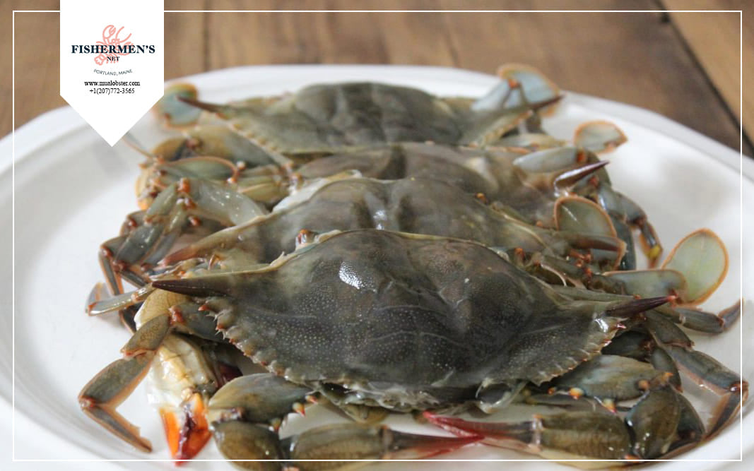 When is soft shell crab season in Maine?