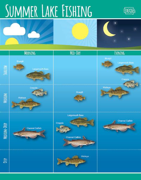 When is the best time to go fishing?