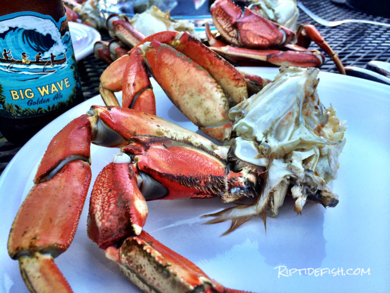 When should I cook Dungeness crab?