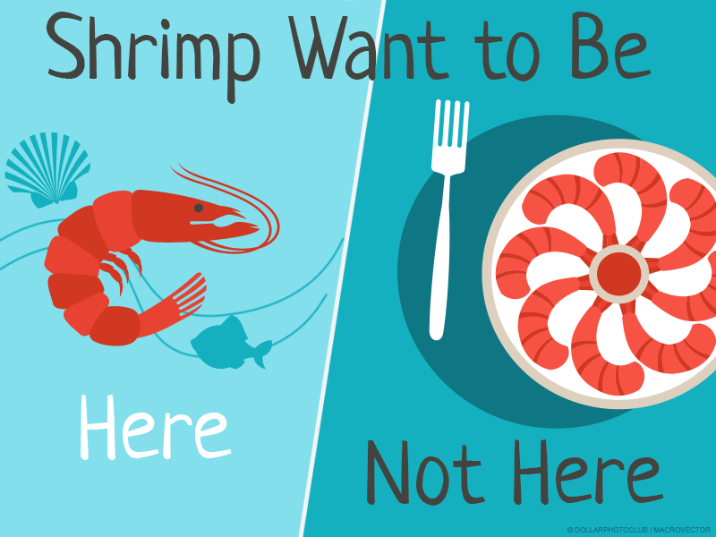 When should we not eat prawns?