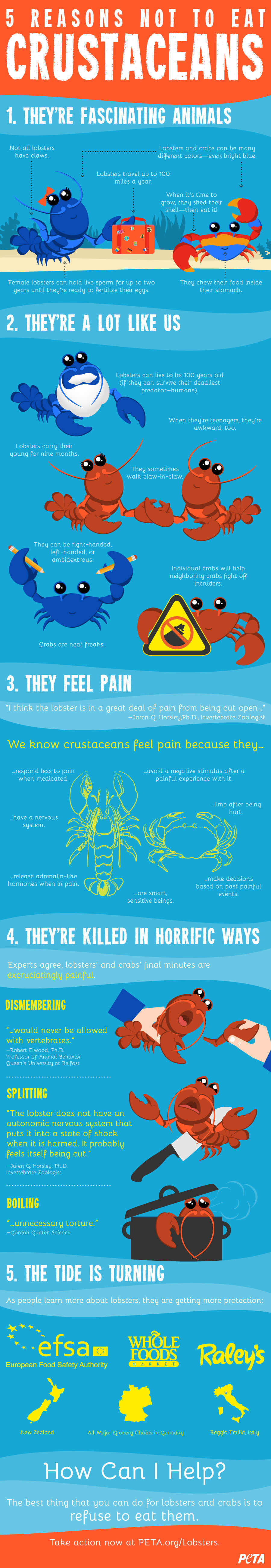 When should you not eat lobster?