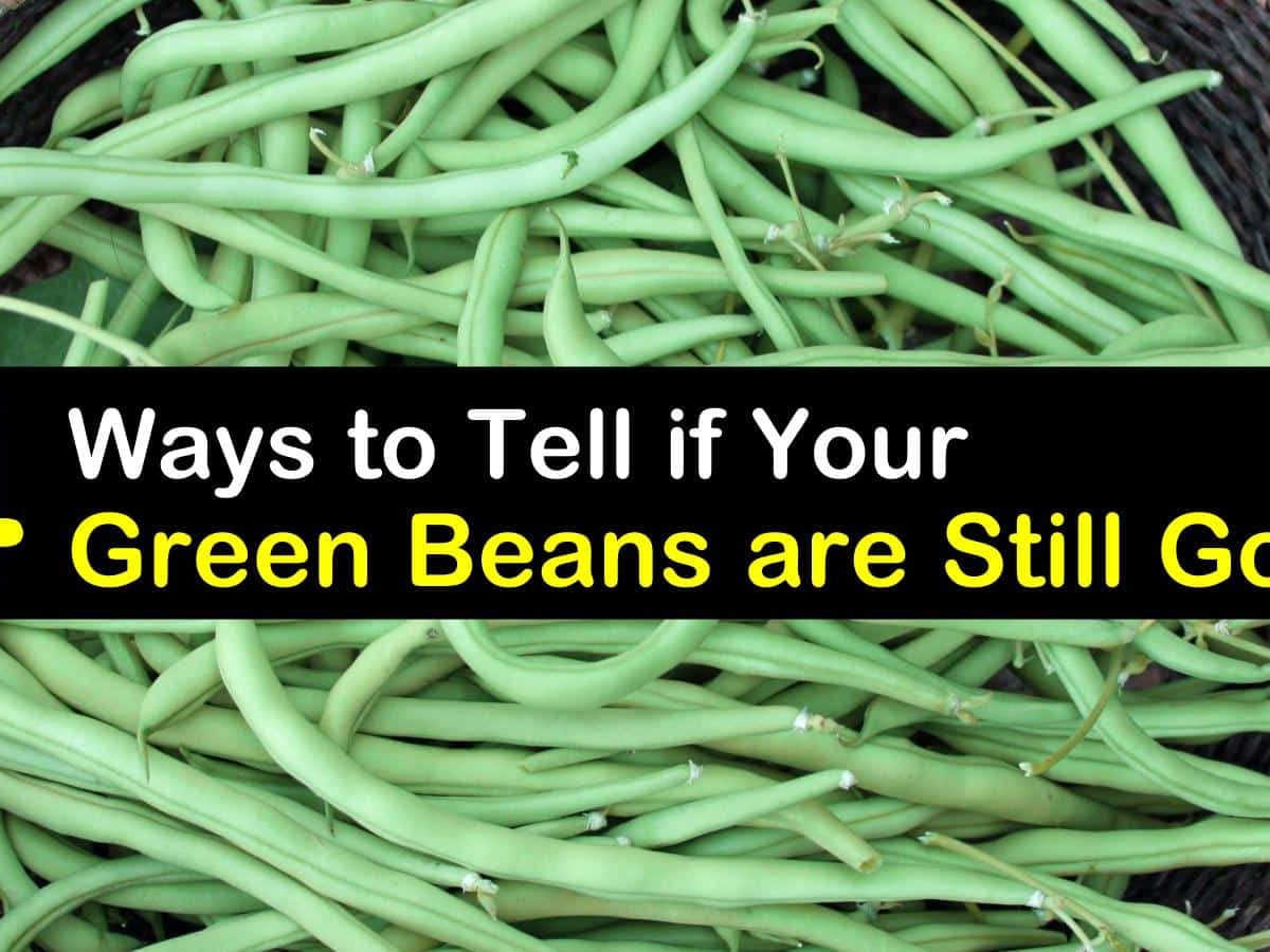 When should you throw away green beans?