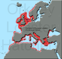 Where are lobsters in Europe?