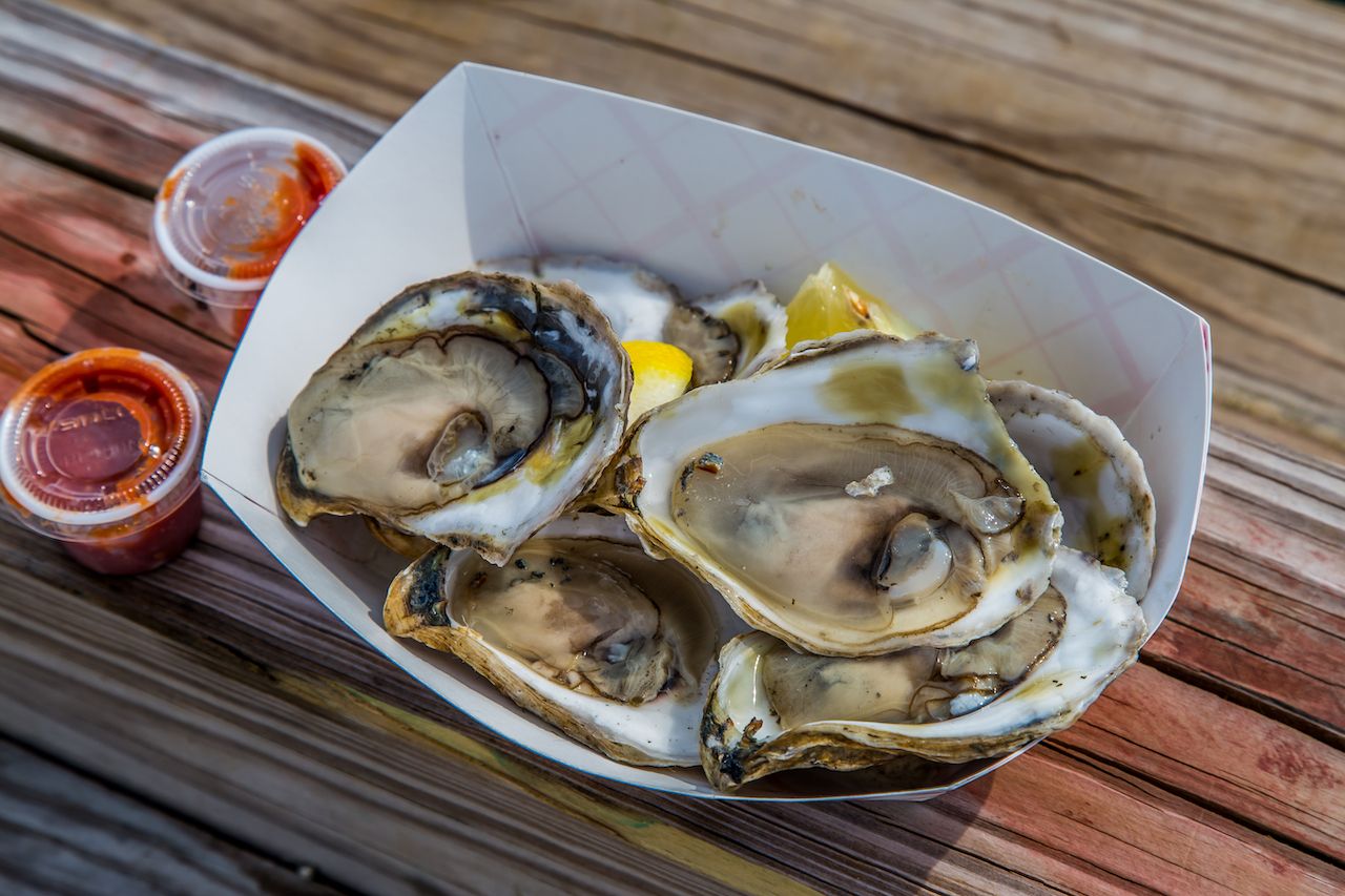Where are most oysters found?