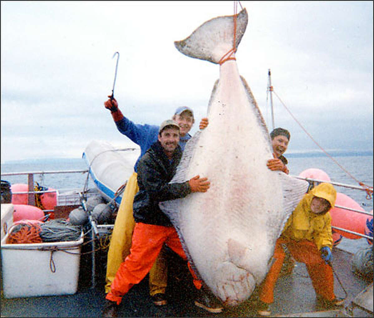 Where are the biggest halibut caught?