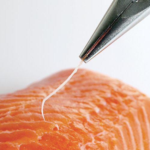 Where are the bones in a salmon fillet?