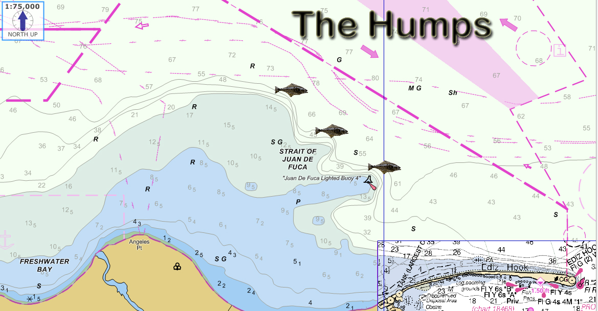 Where are the halibut HuMPs in Washington State?