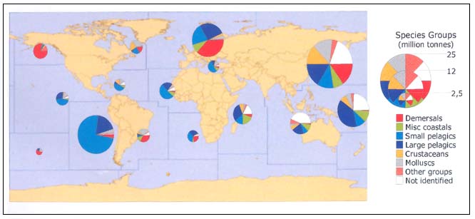 Where are the largest fisheries?