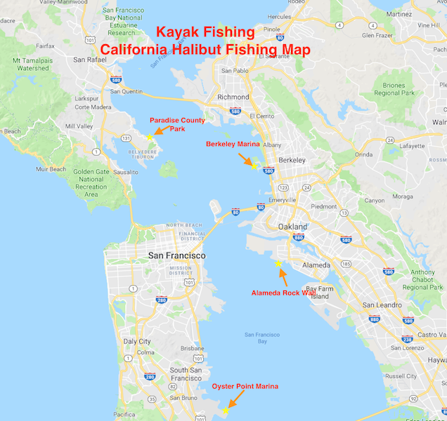 Where are they catching halibut in San Francisco Bay?