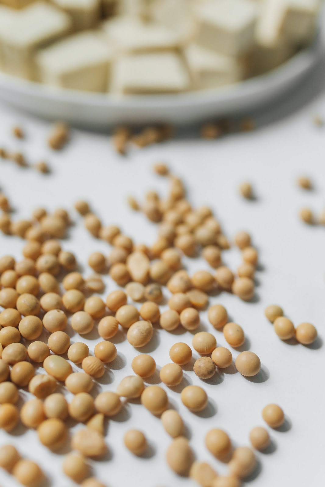 Where are tofu soybeans grown?