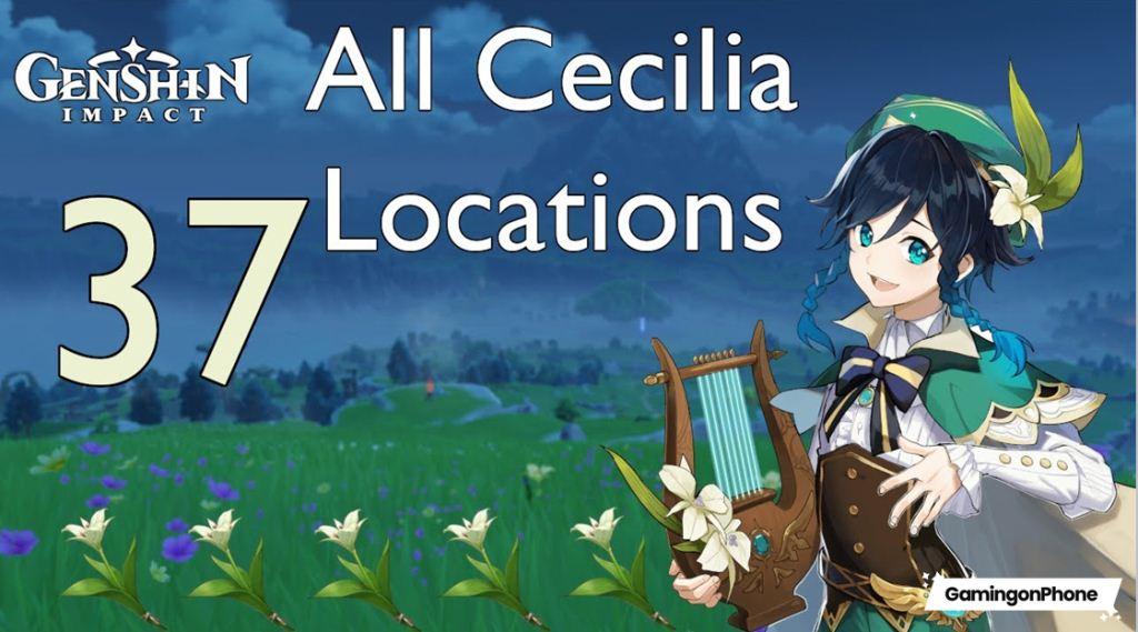 Where can I buy Cecilia Flowers?