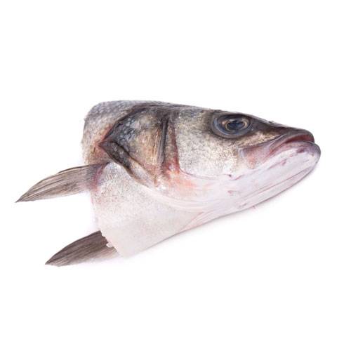 Where can I buy fresh fish heads?