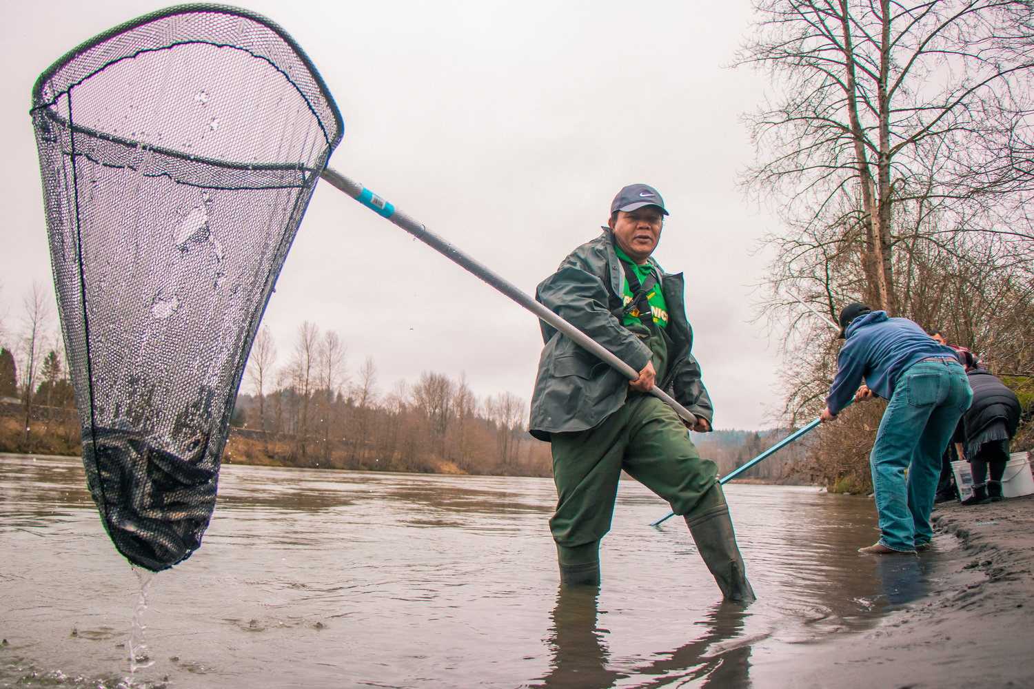 Where can I dip smelt on the Cowlitz River?