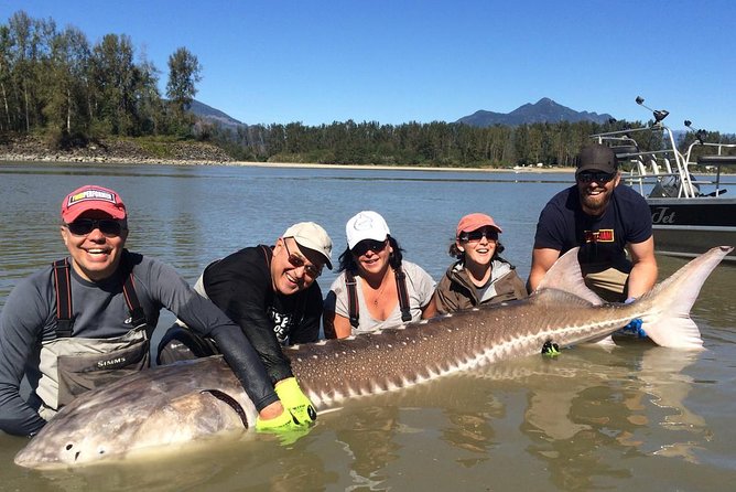 Where can I find giant sturgeon?