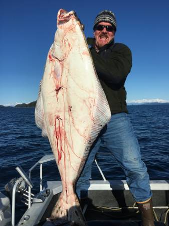 Where can I find halibut in Alaska?
