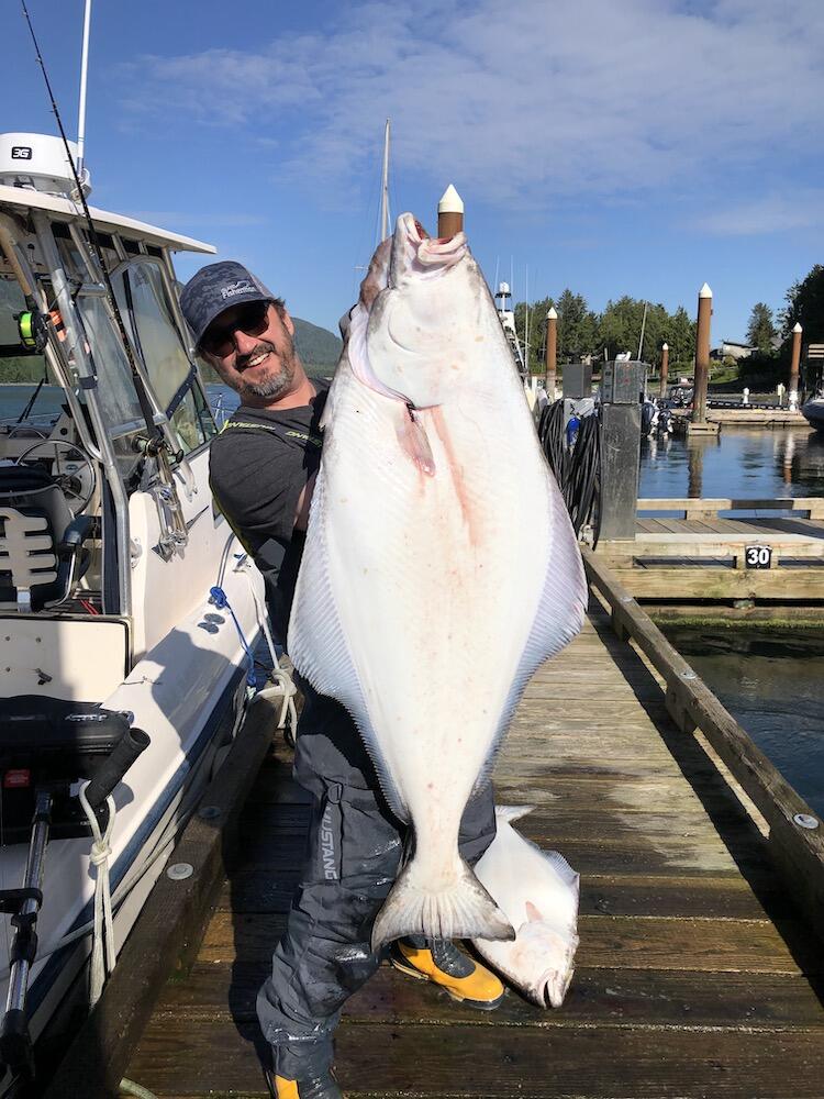 Where can I find halibut in the South Island?