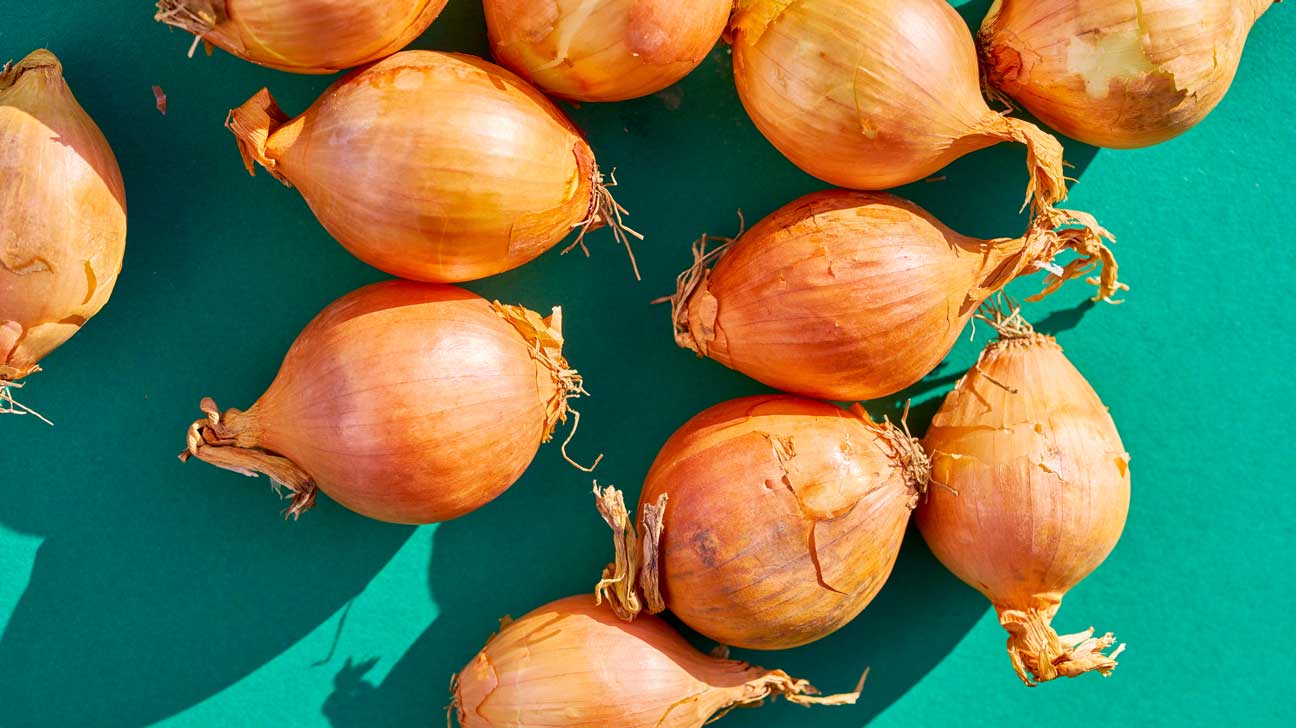 Where can onions be found in the human body?