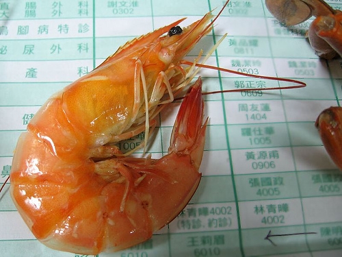 Where can shrimp be found?