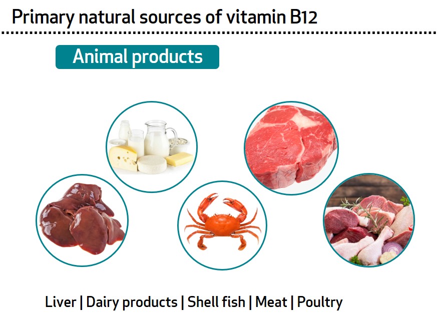 Where can vitamin B12 be found?