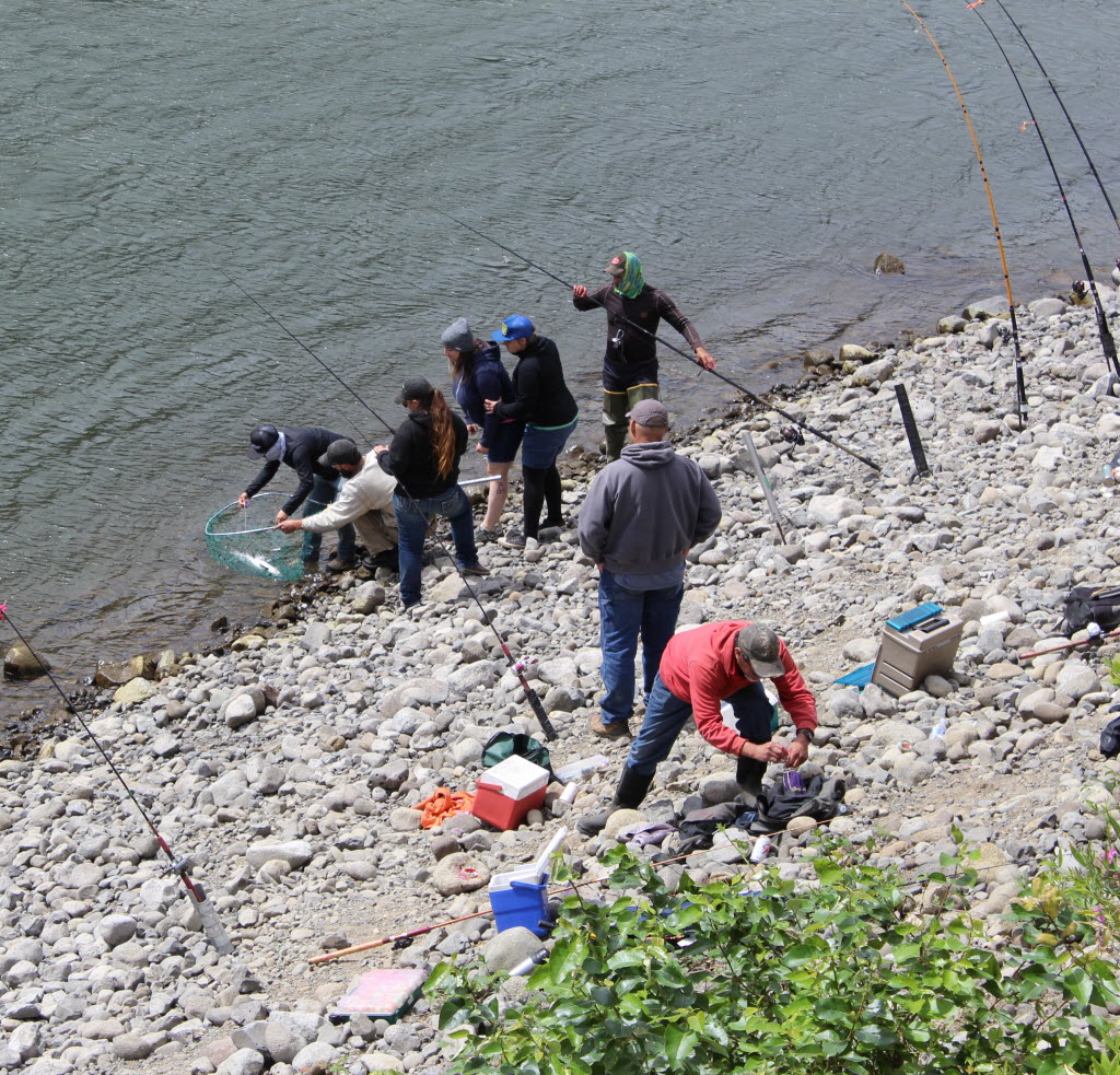 Where can you bank fish on the Columbia River?
