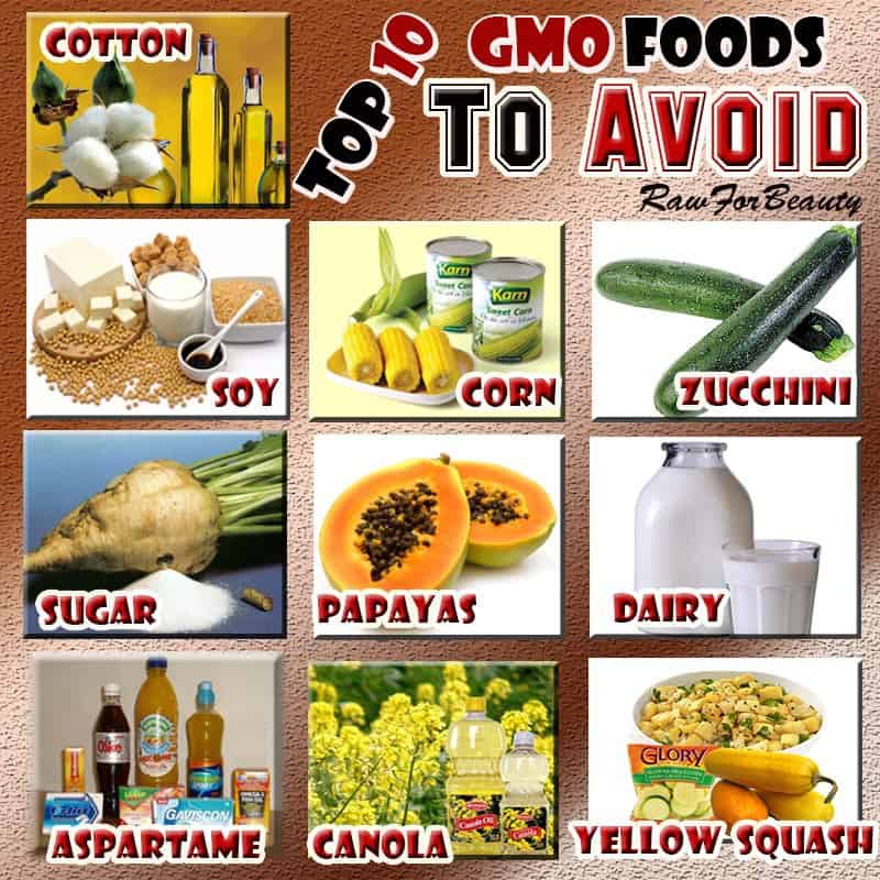 Where can you find GMOs?