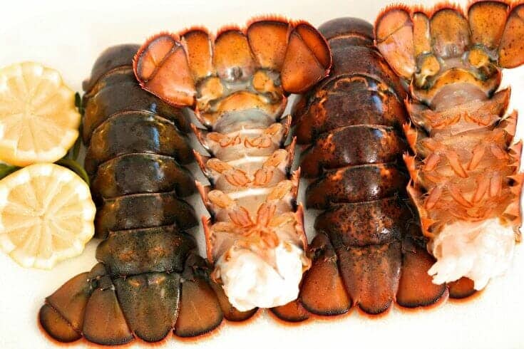 Where did lobster tails originate?