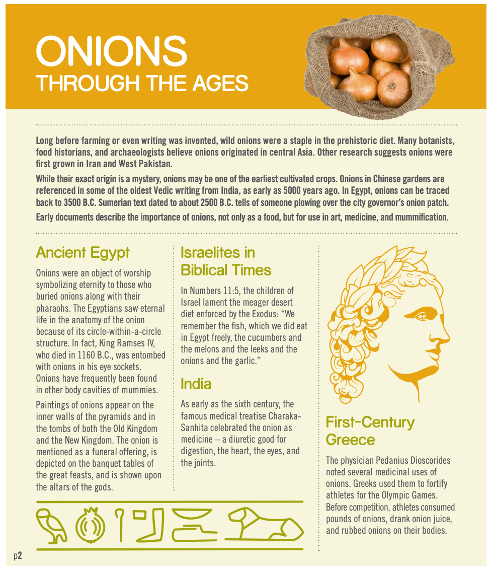 Where did onion first come from?