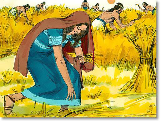 Where did Ruth go after the harvesters?