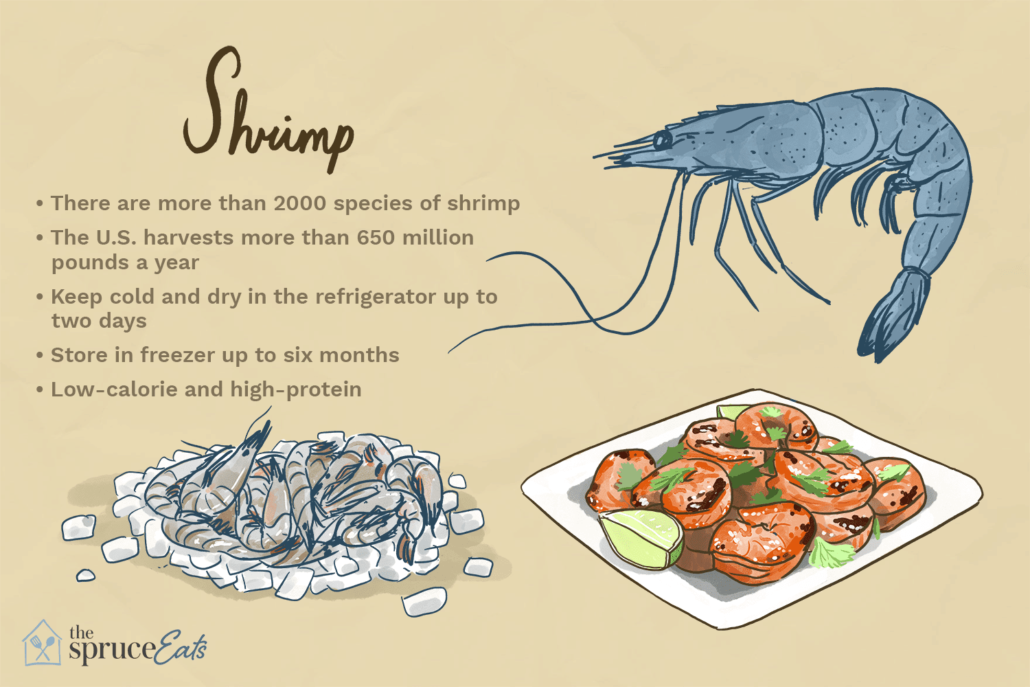 Where did shrimp originally come from?