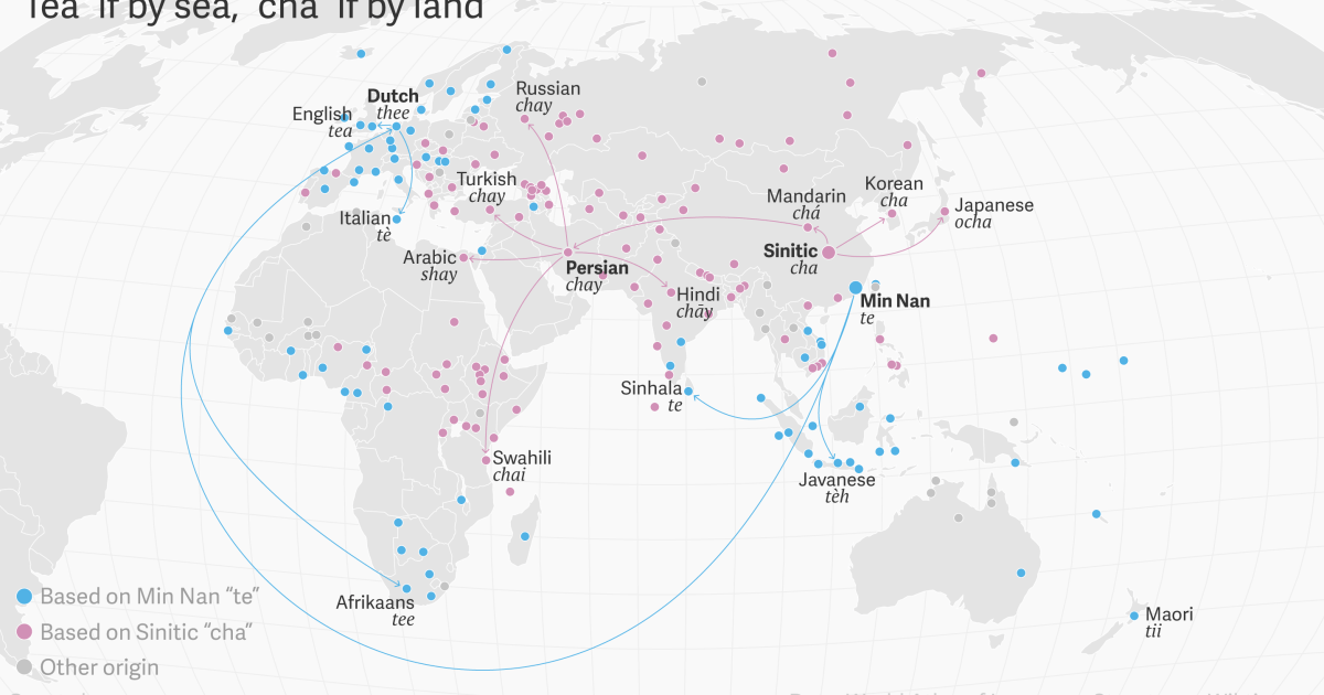 Where did tea get its name?