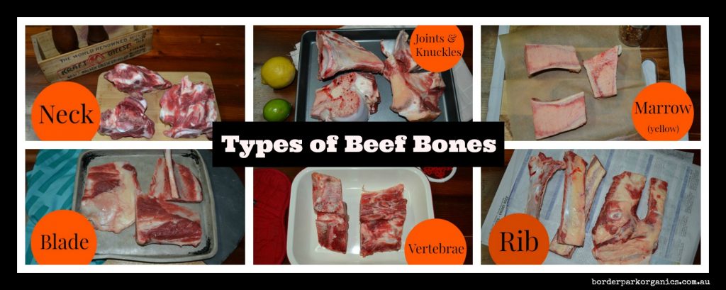 Where do beef bones come from?