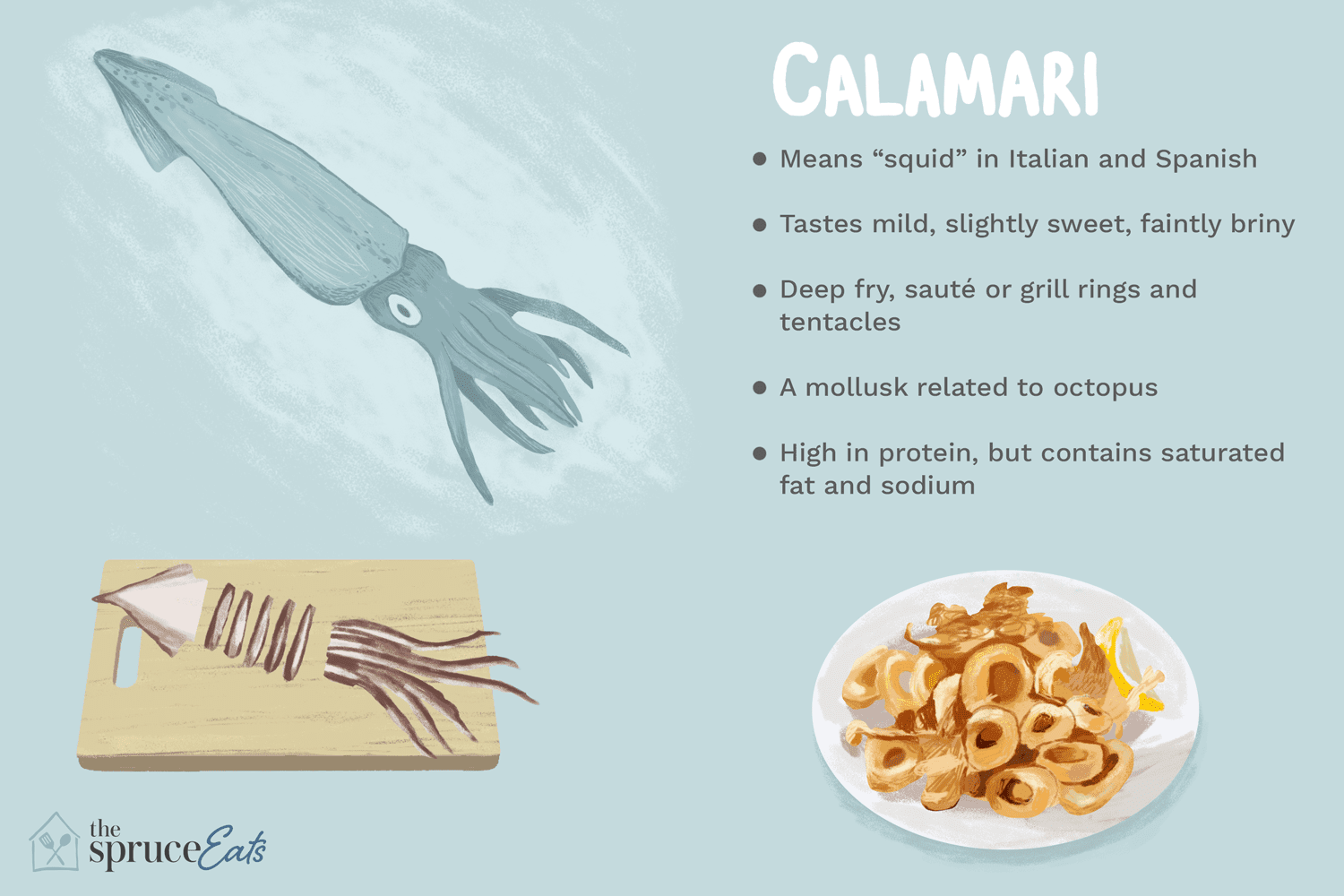 Where do calamari strips come from?