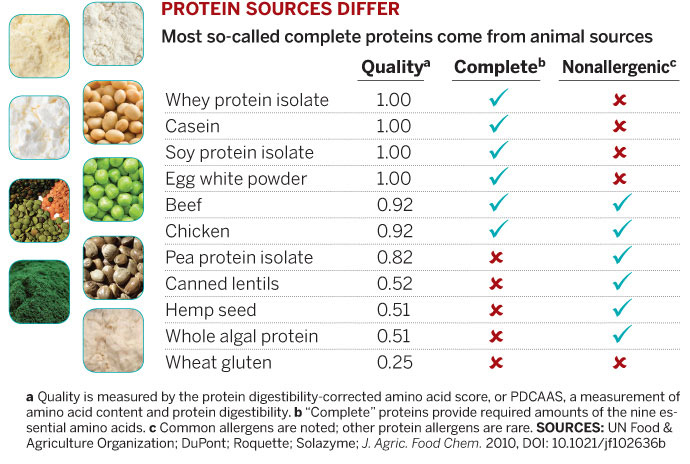 Where do essential proteins come from?