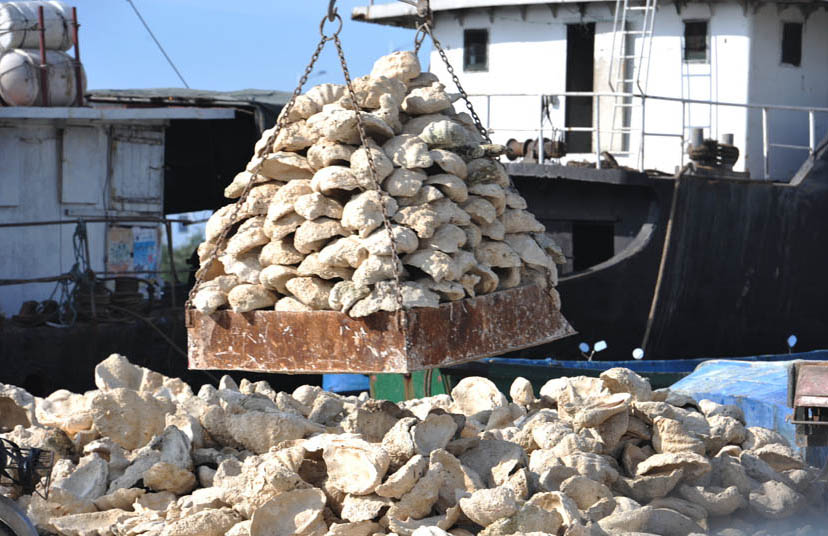 Where do giant shells come from?